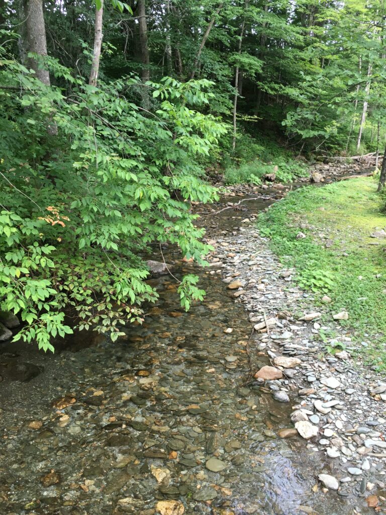 Standing Tall For Small Waterways - Trout Unlimited