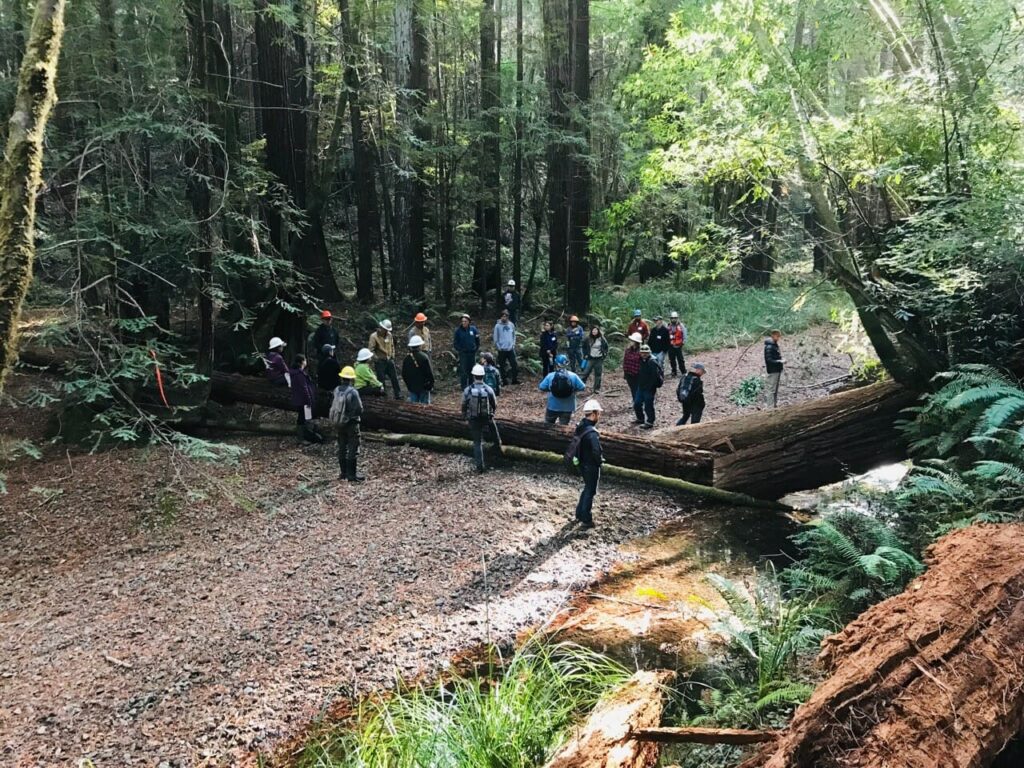 TU, SRF Host First-ever Large Wood Field School - Trout Unlimited