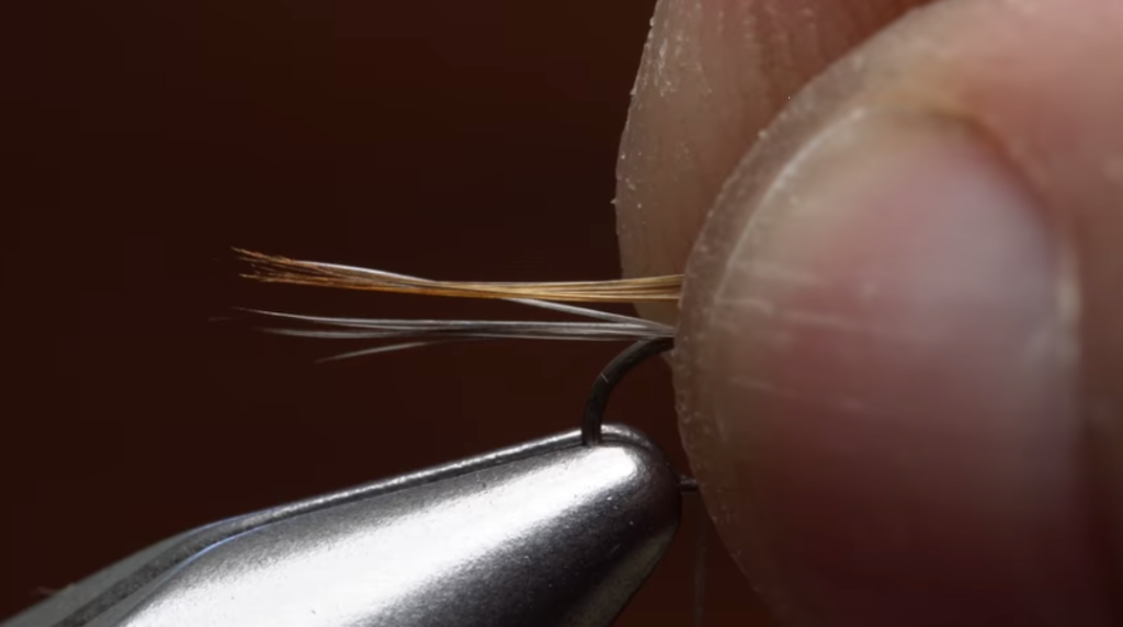 Fly Tying: Mixing Hackle Fibers For Tails - Trout Unlimited