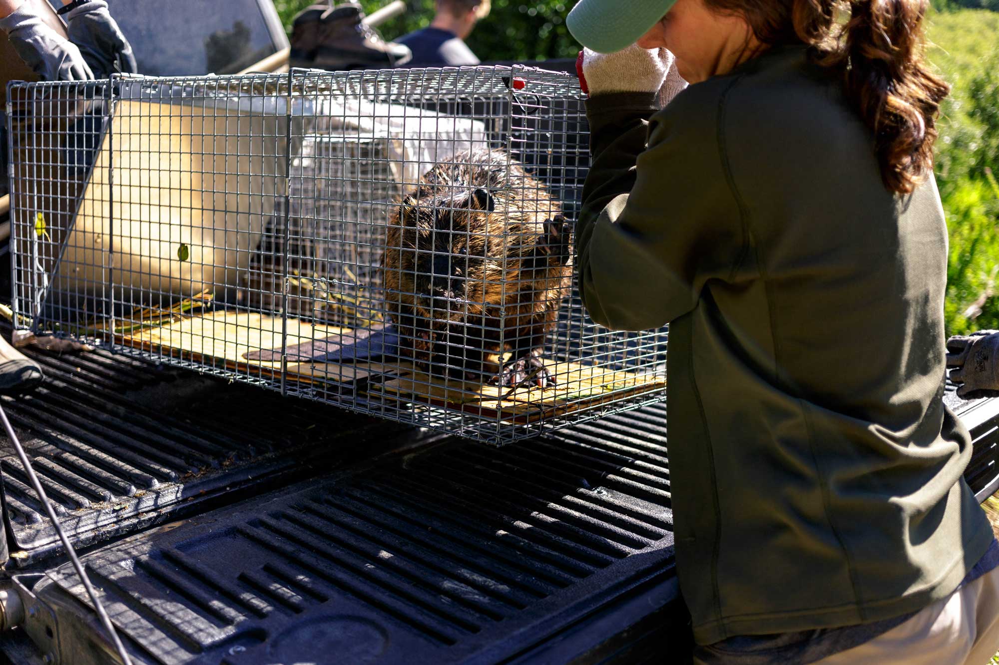 Natural Water Storage - Trout Unlimited