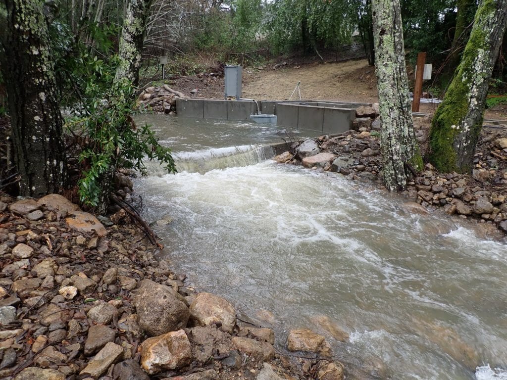 Bringing Fish Back To Yellowjacket Creek - Trout Unlimited