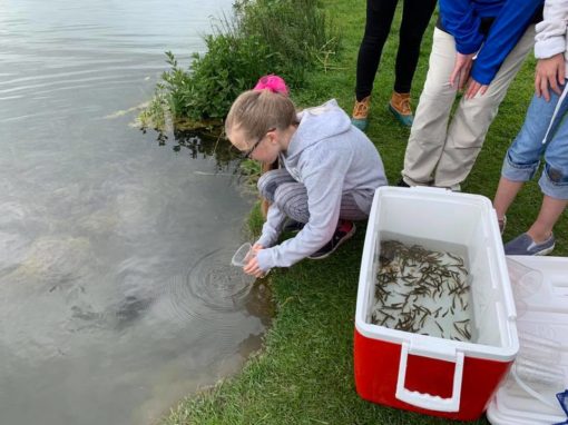 Lessons From Trout In The Classroom - Trout Unlimited