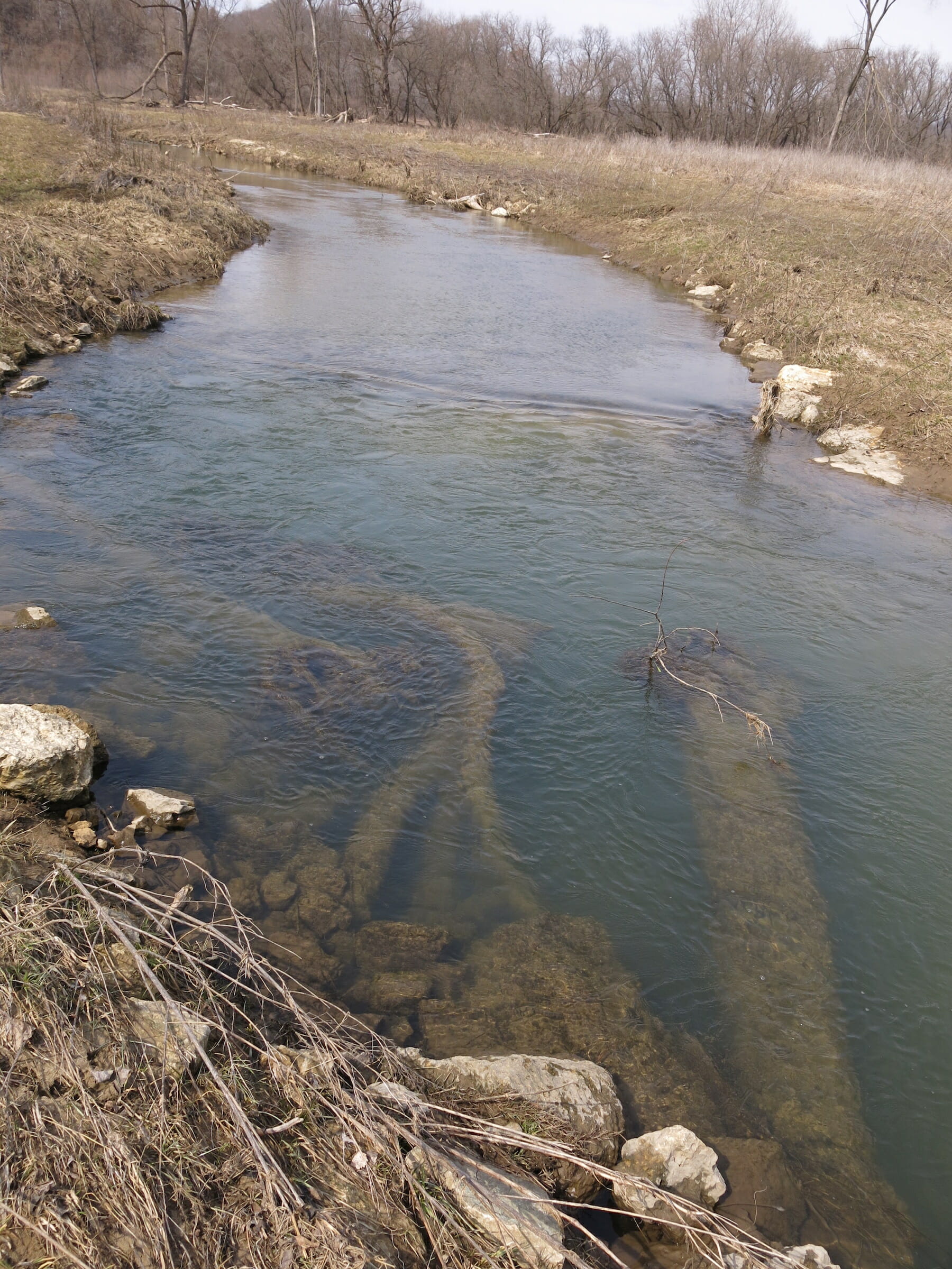 Better Fishing In The Driftless Area - Trout Unlimited