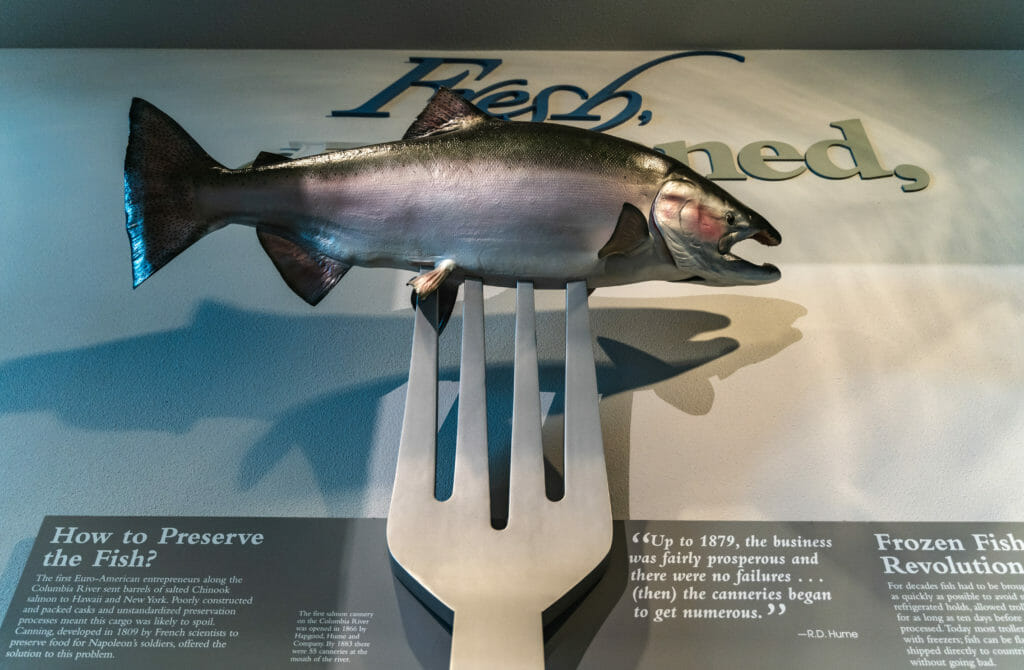 Odyssey Team Explores Human Impact On The Columbia And Its Fish - Trout ...