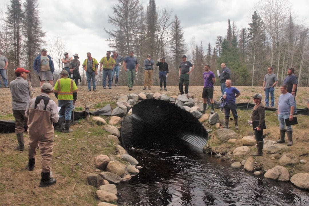 Culverts, Flooding And Native Trout In Wisconsin - Trout Unlimited