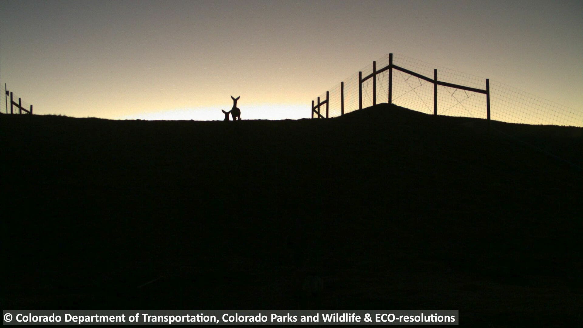 Colorado Governor Prioritizes Wildlife Conservation - Trout Unlimited