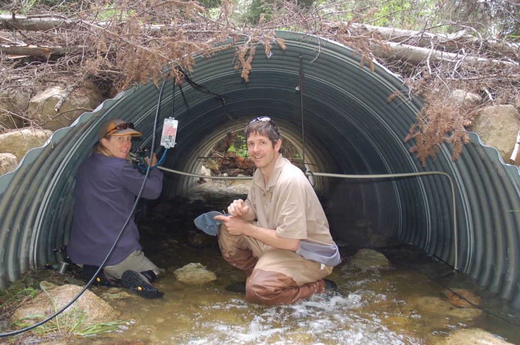 Monitoring Fish Movement Is A Vital Conservation Tool - Trout Unlimited