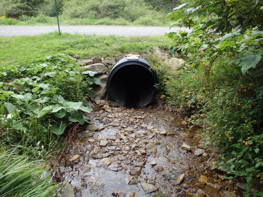 Twenty Years In, TU Is Still Rolling In PA's Kettle Creek Watershed ...