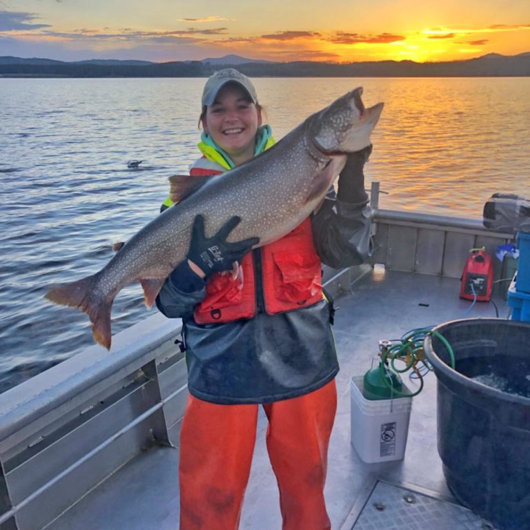 Native Cutthroat Trout Making Comeback In Yellowstone Lake - Trout ...