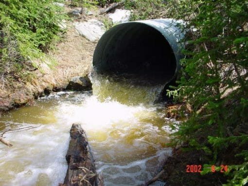Monitoring Fish Movement Is A Vital Conservation Tool - Trout Unlimited