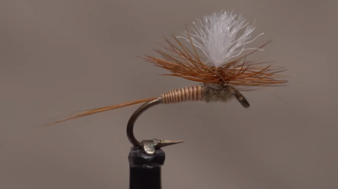 Tying Quill Bodies - Trout Unlimited