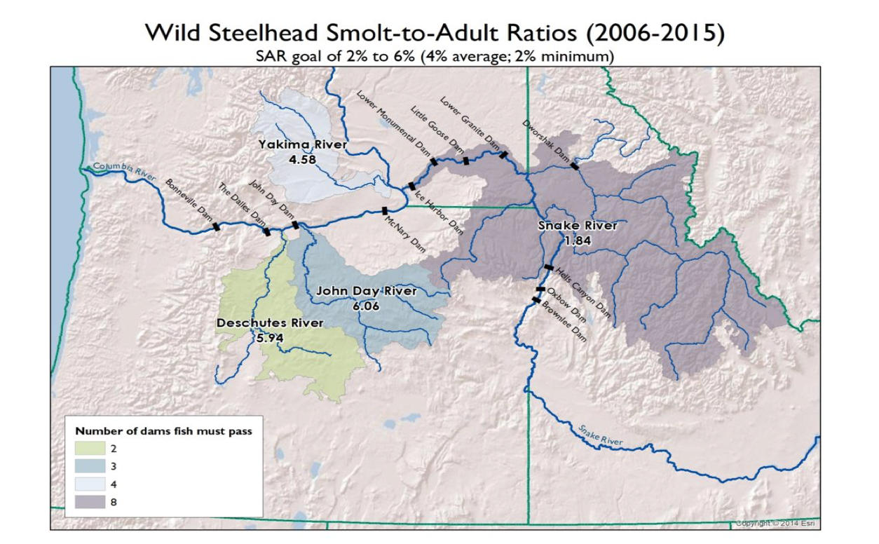 Five Takeaways On Snake River Salmon And Steelhead - Trout Unlimited