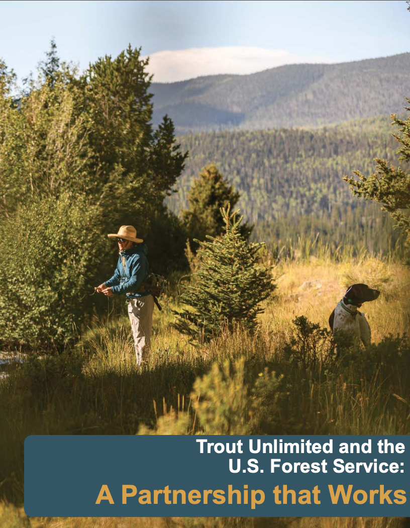 Trout Unlimited And The U.S. Forest Service: A Partnership That Works ...
