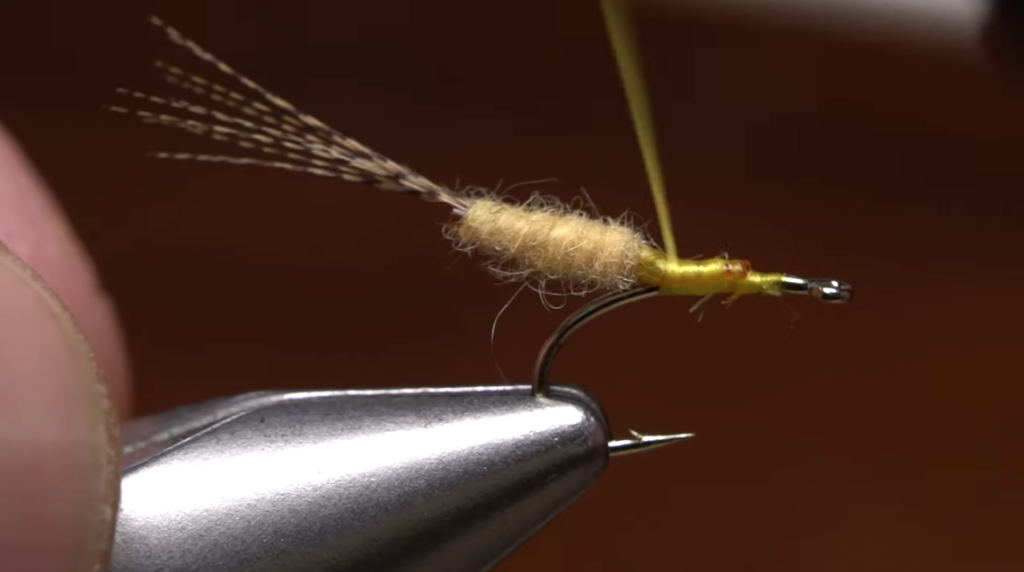 Tying Easy Extended Bodies - Trout Unlimited
