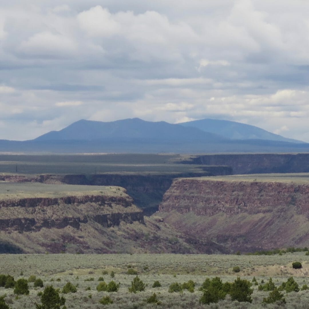 Nick Point - Trout Unlimited