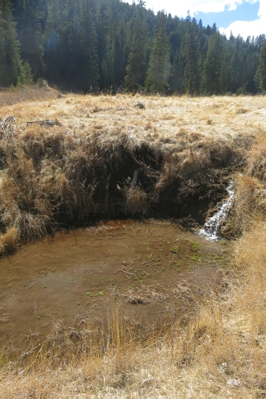 Nick Point - Trout Unlimited