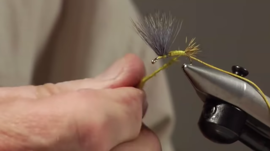 The Green Drake - Trout Unlimited