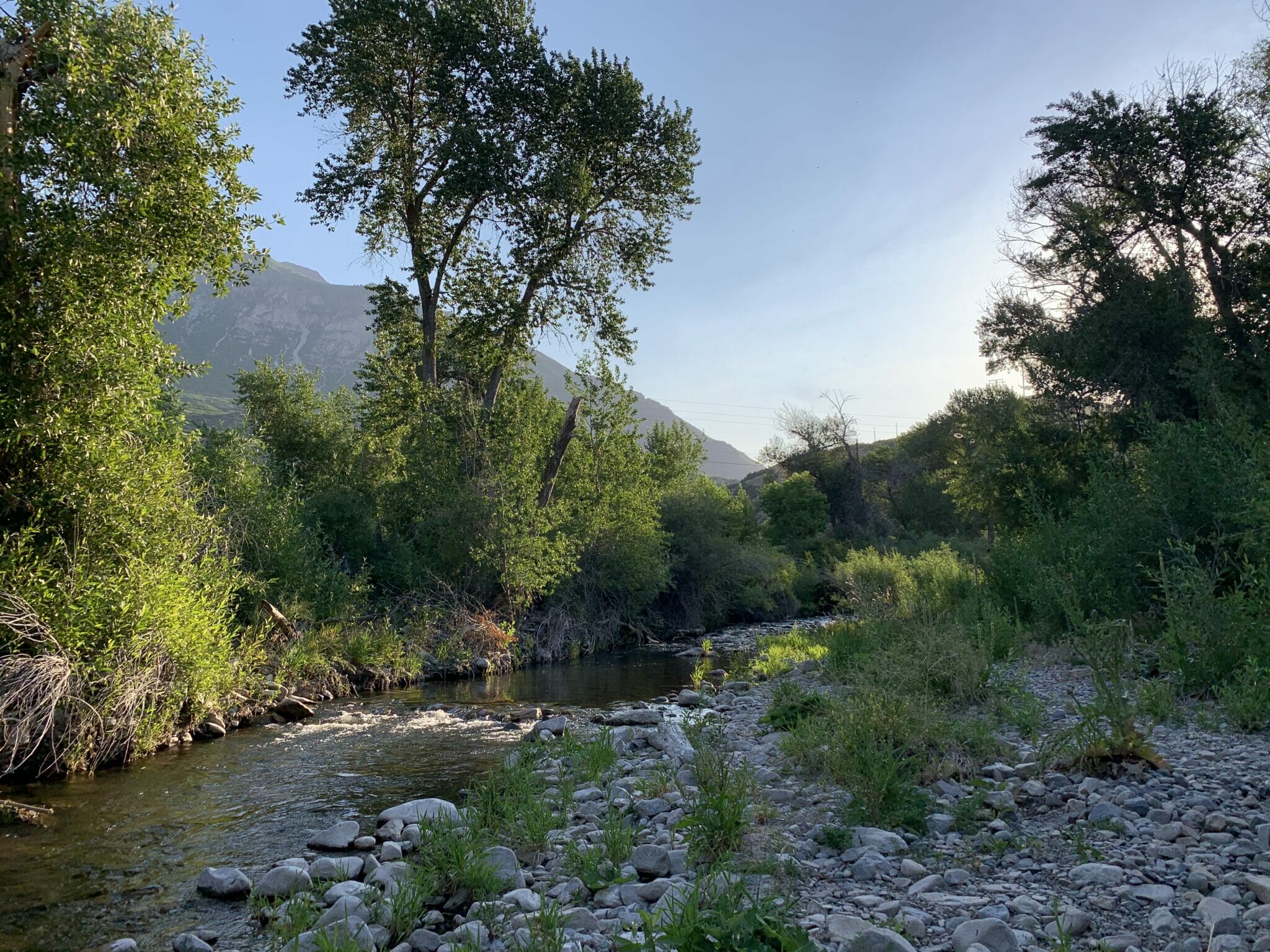 Innovative Solutions Solve Low Water Issue On Popular Western Fishery ...