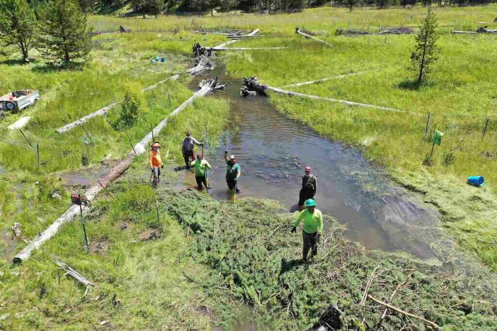 Faces Of Restoration: Capitan Forestry In Oregon - Trout Unlimited