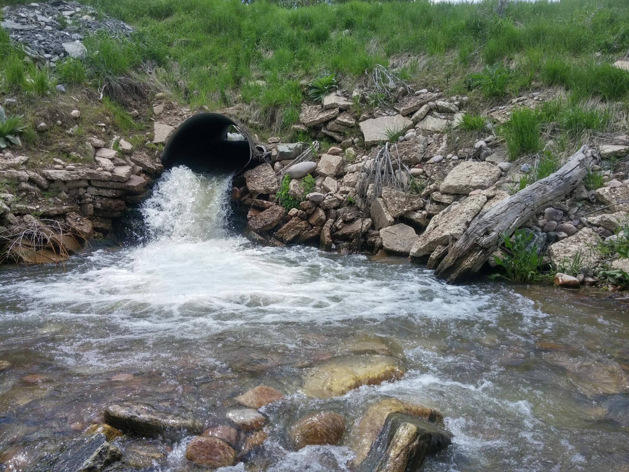 Barriers Limit Cutthroat Trout Migration - Trout Unlimited