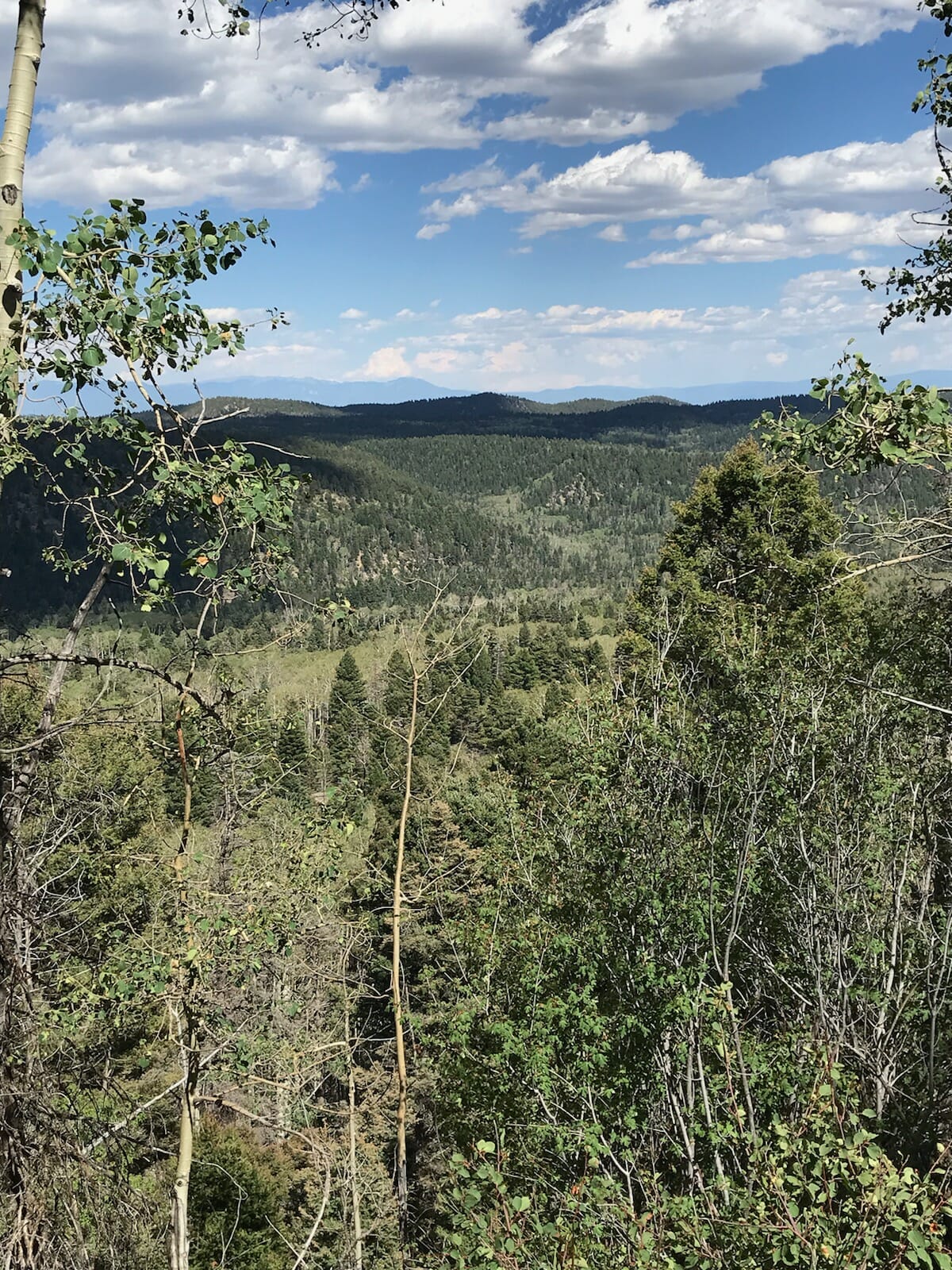 From The Vault: Canjilon - Trout Unlimited
