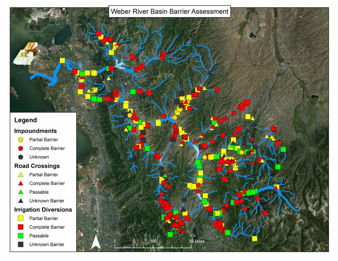 Barriers Limit Cutthroat Trout Migration - Trout Unlimited