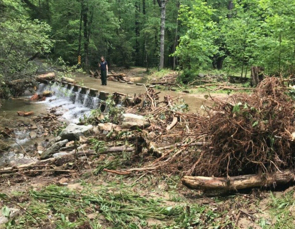Trout Unlimited Volunteers Fan Out To Survey Wilson Creek In North ...