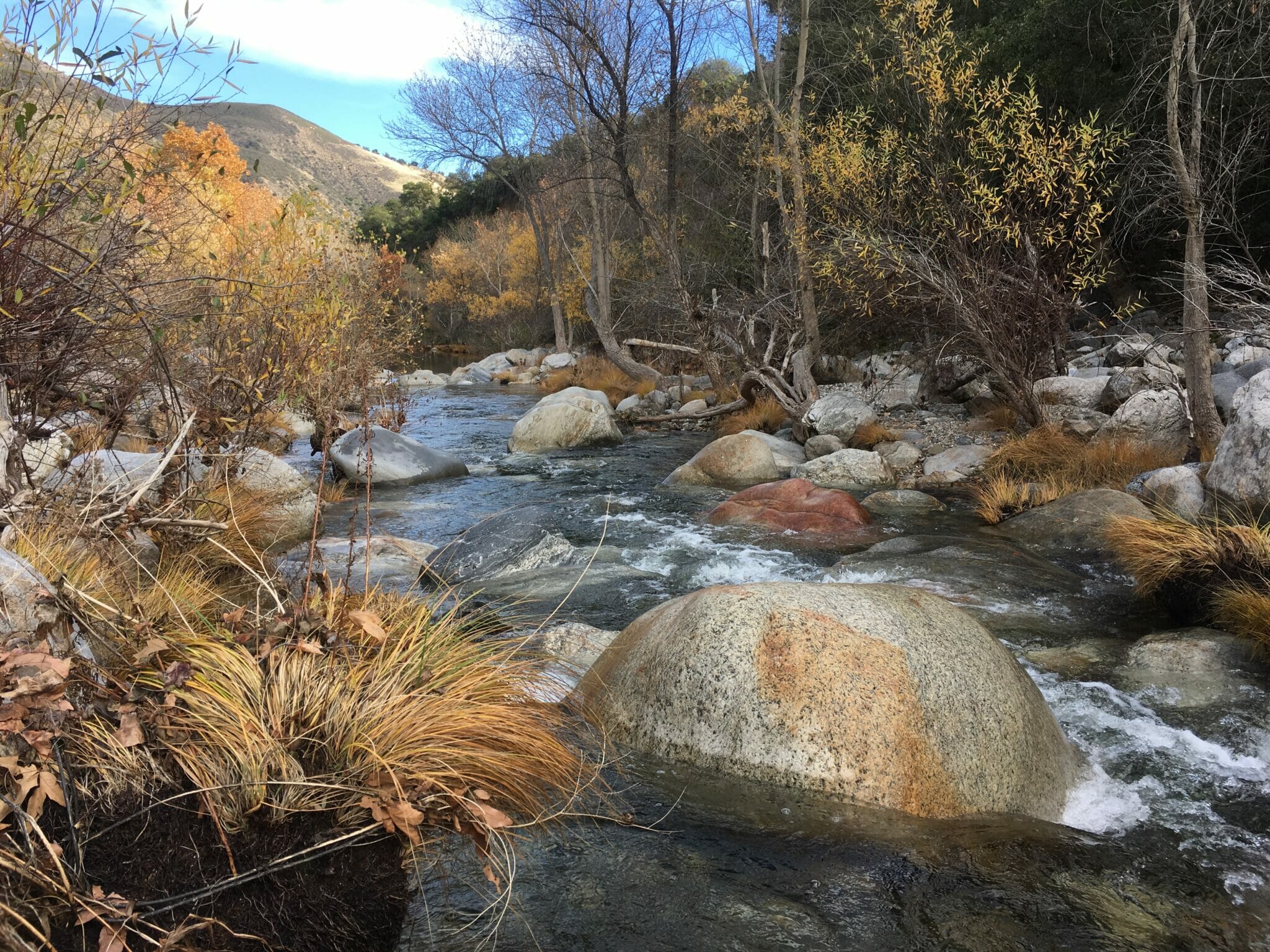 The Tonic Of Wildness - Trout Unlimited