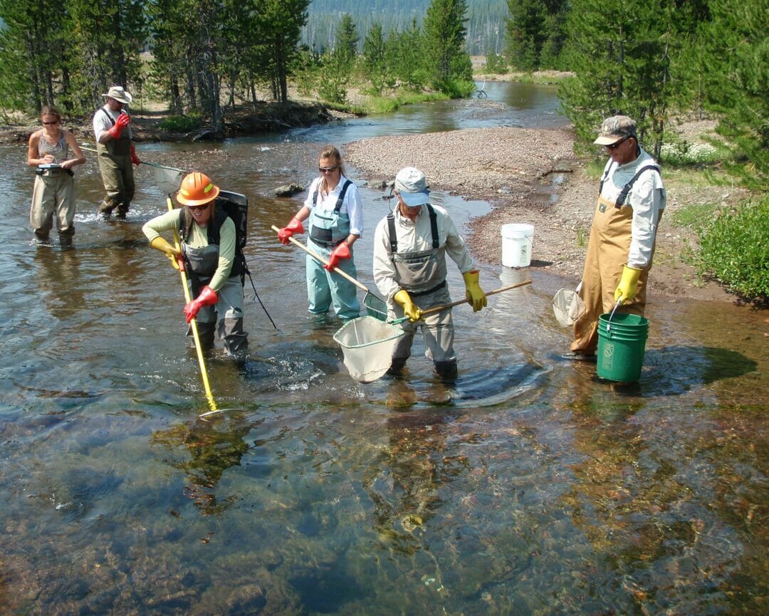 Learn About The Upper Deschutes Watershed Of Oregon Virtually - Trout ...