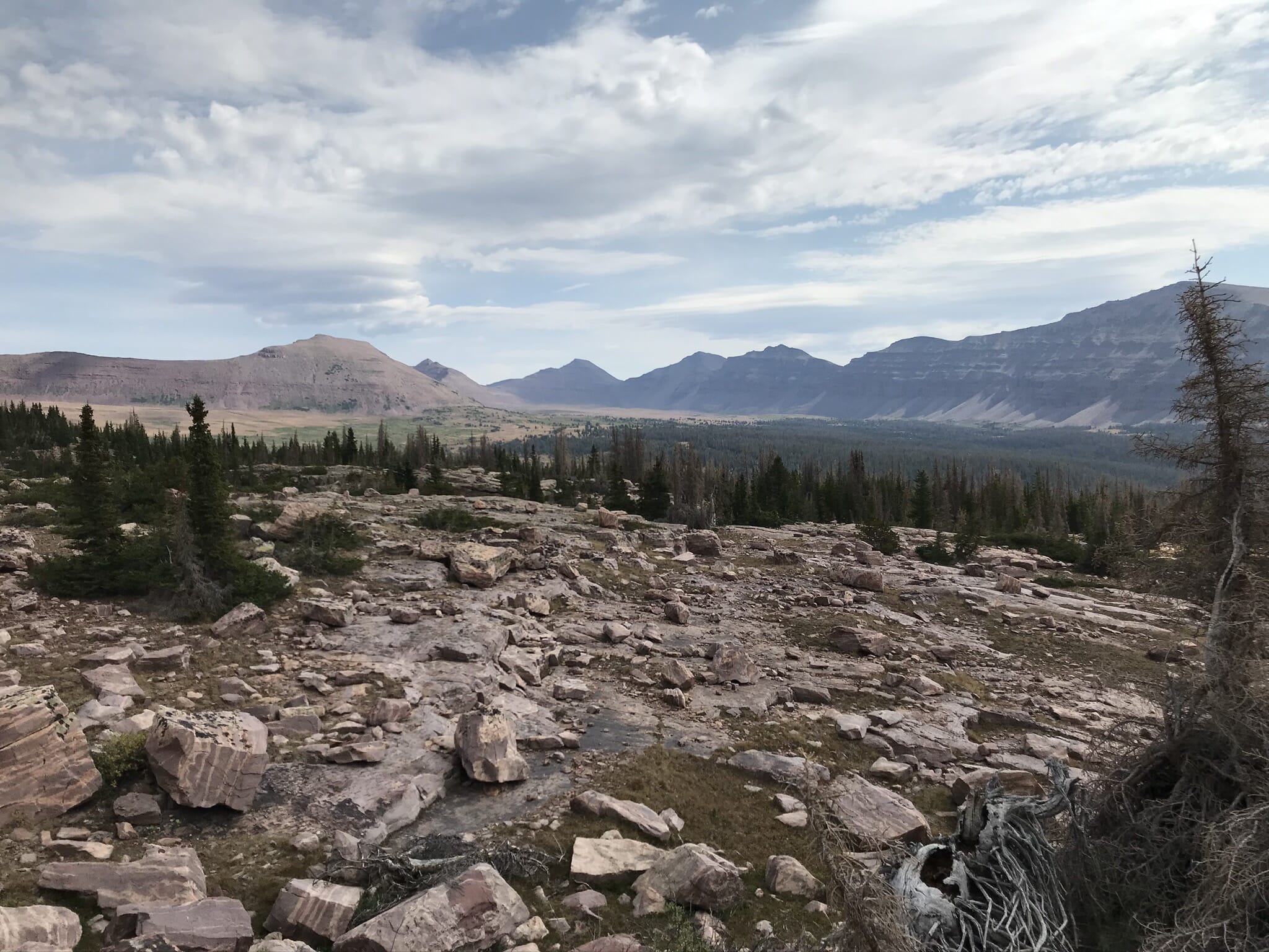 Horses, The High Uintas, Native Cutthroat Trout And Wildfire - Trout ...