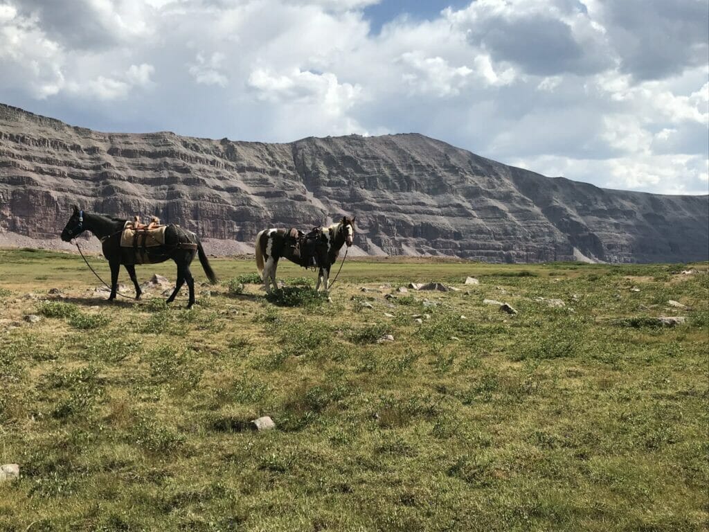 Horses, The High Uintas, Native Cutthroat Trout And Wildfire - Trout ...