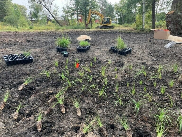 TU Restores Important 'pocket' Wetlands In Michigan - Trout Unlimited