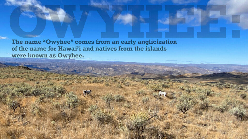 Get To Know The Owyhees - Trout Unlimited