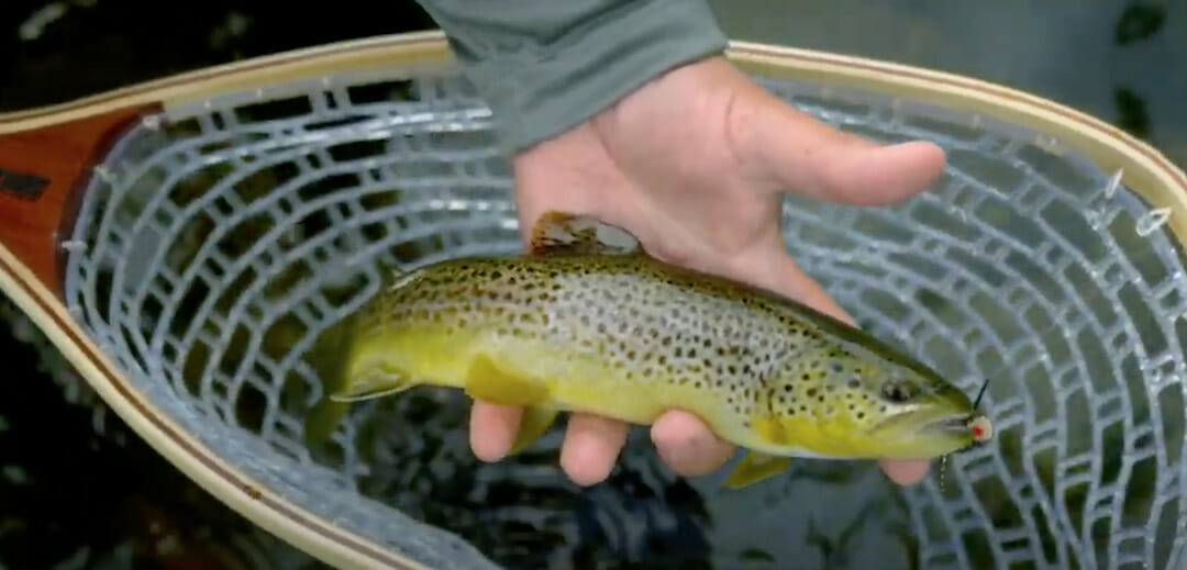 Keystone Fund Helps Pennsylvania's Famous Brodhead Creek - Trout Unlimited