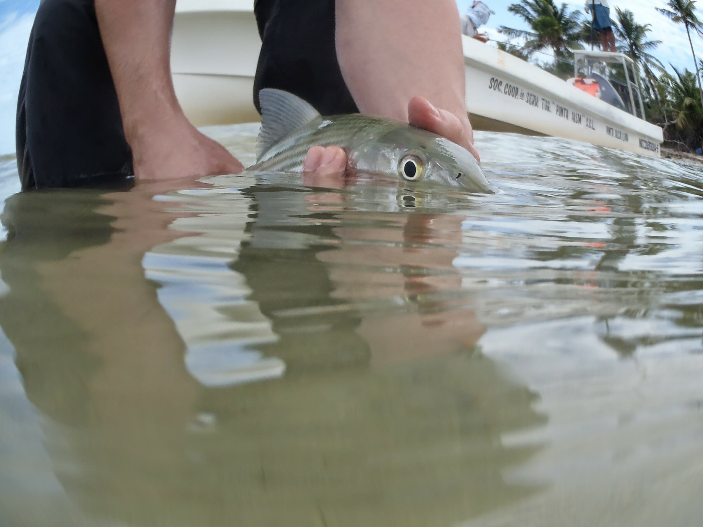 What Species Is The 'fish Of Your Lifetime?' - Trout Unlimited
