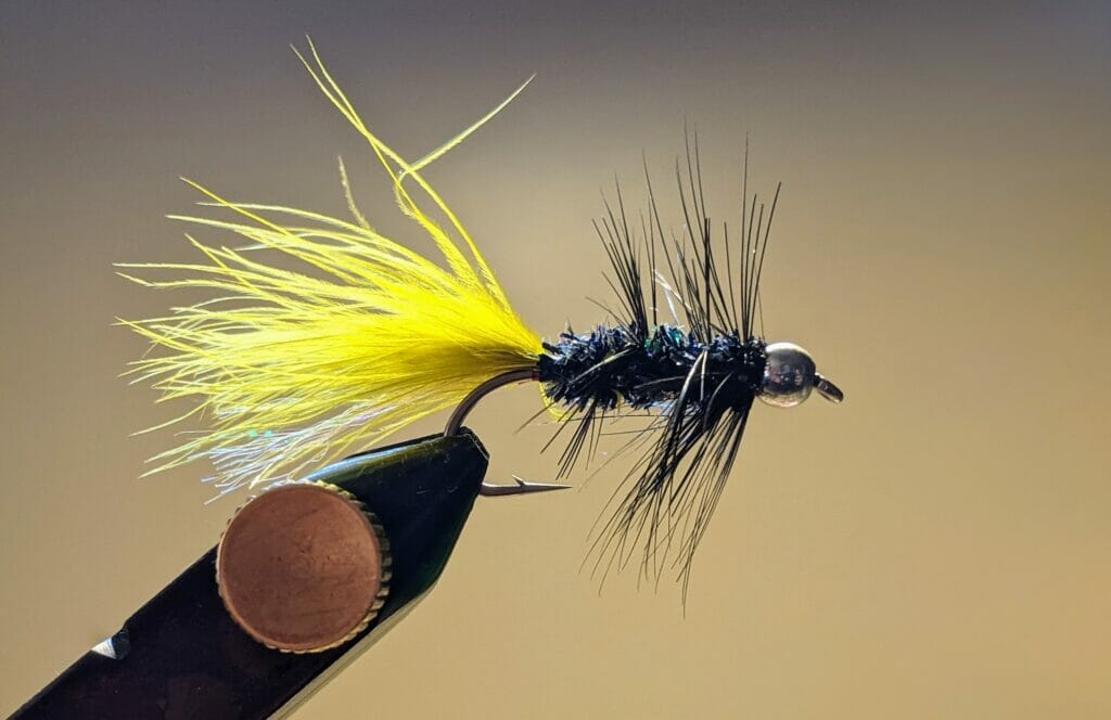 The Woolly Bugger ... More Than Just A Streamer - Trout Unlimited