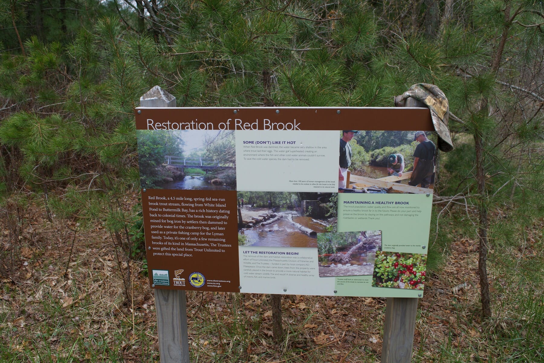 Supporters Of Red Brook Score Big Win On Zoning Vote In Massachusetts ...