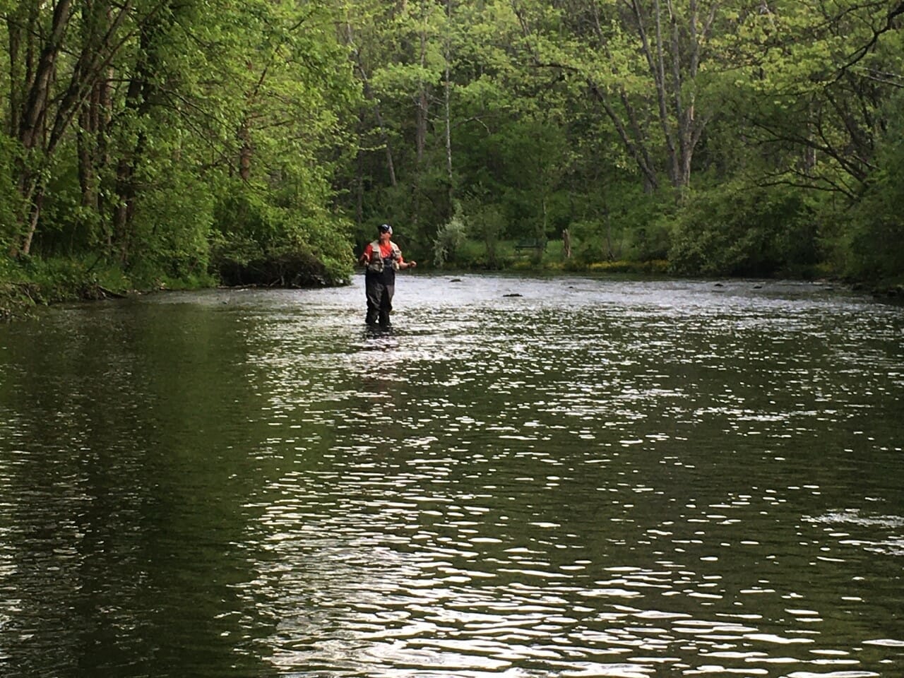Chasing Wild Trout On Pennsylvania's Storied Spring Creek - Trout Unlimited