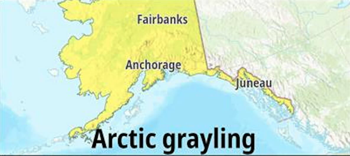 Just Because You Can Doesn't Mean You Should - Trout Unlimited