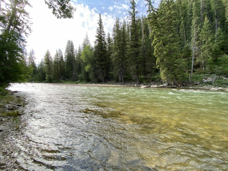 Chasing The Wyoming Cutt-Slam And Keeping The Wolves Away - Trout Unlimited
