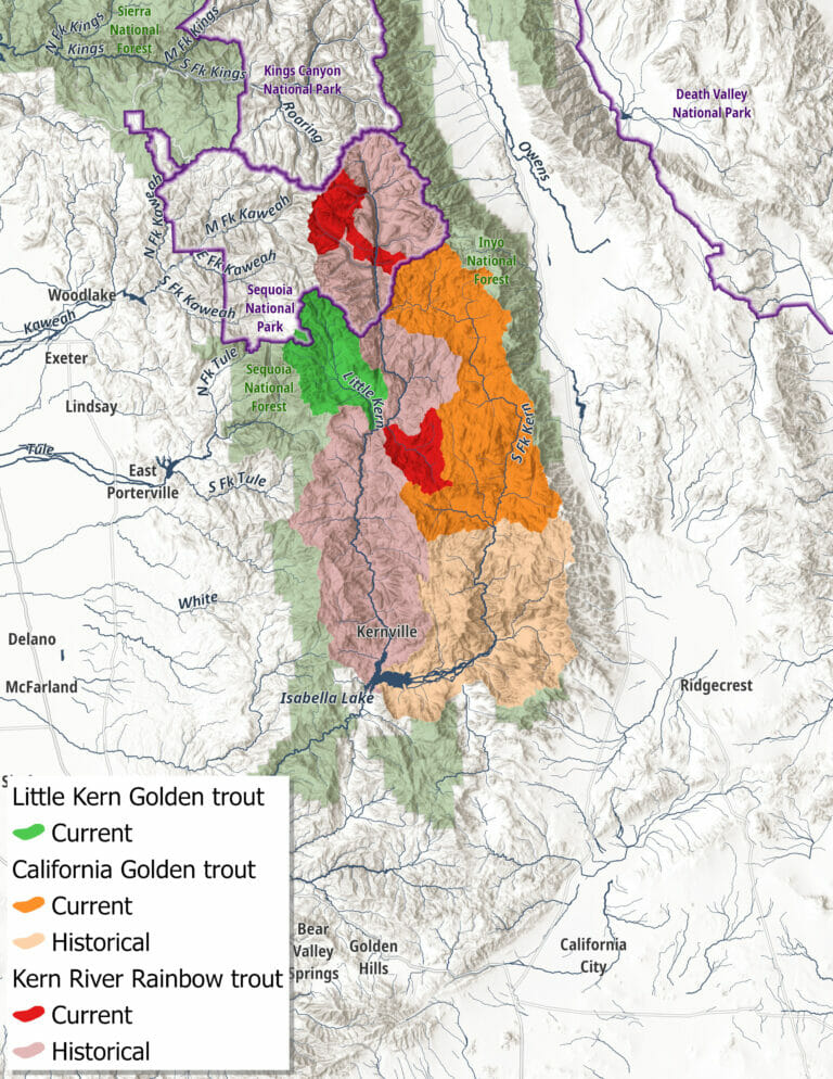 Red Is The New Golden - Trout Unlimited