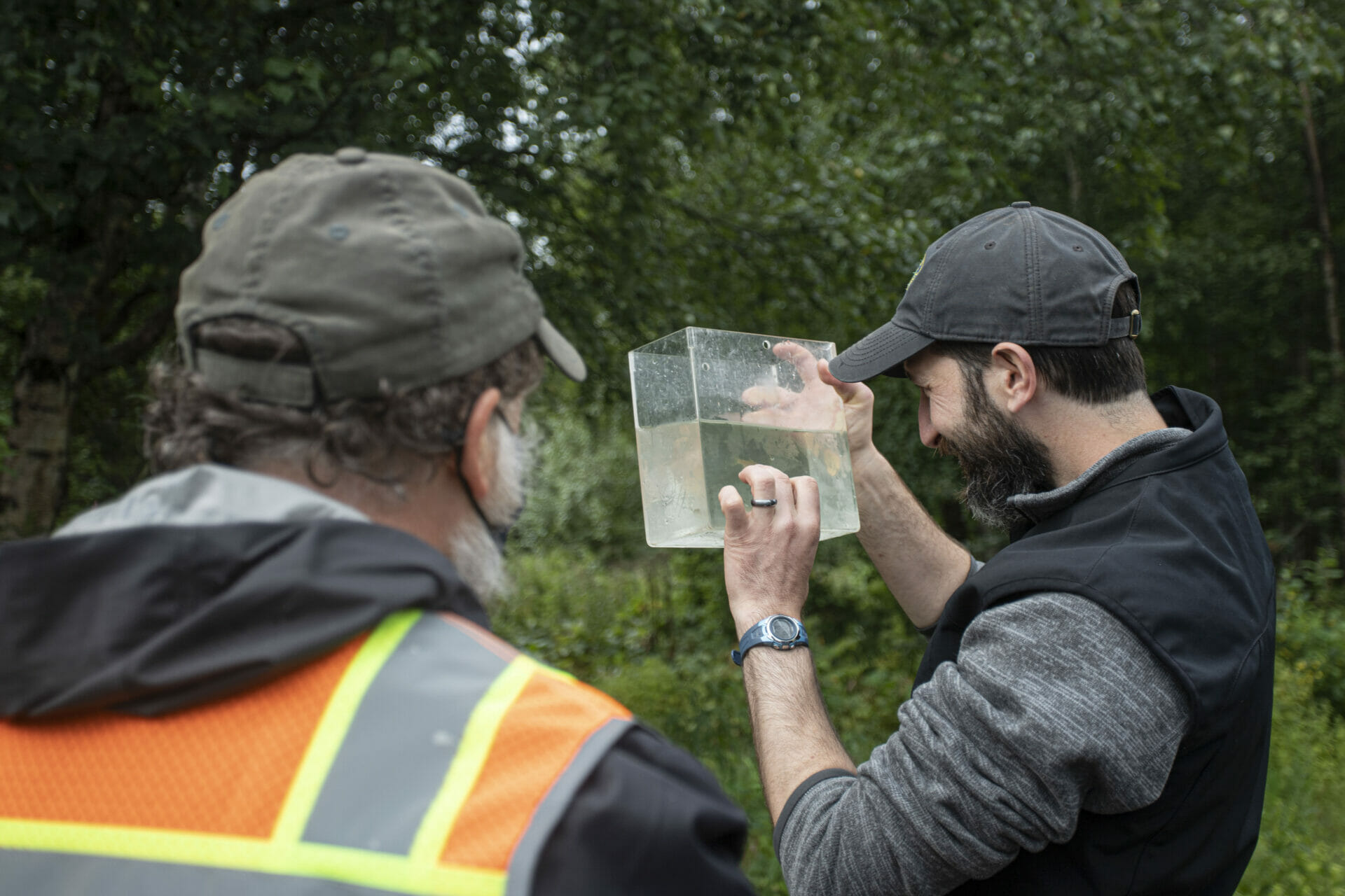 Mat-Su Basin Salmon Habitat Partnership Hosts Tour Of Little Susitna ...