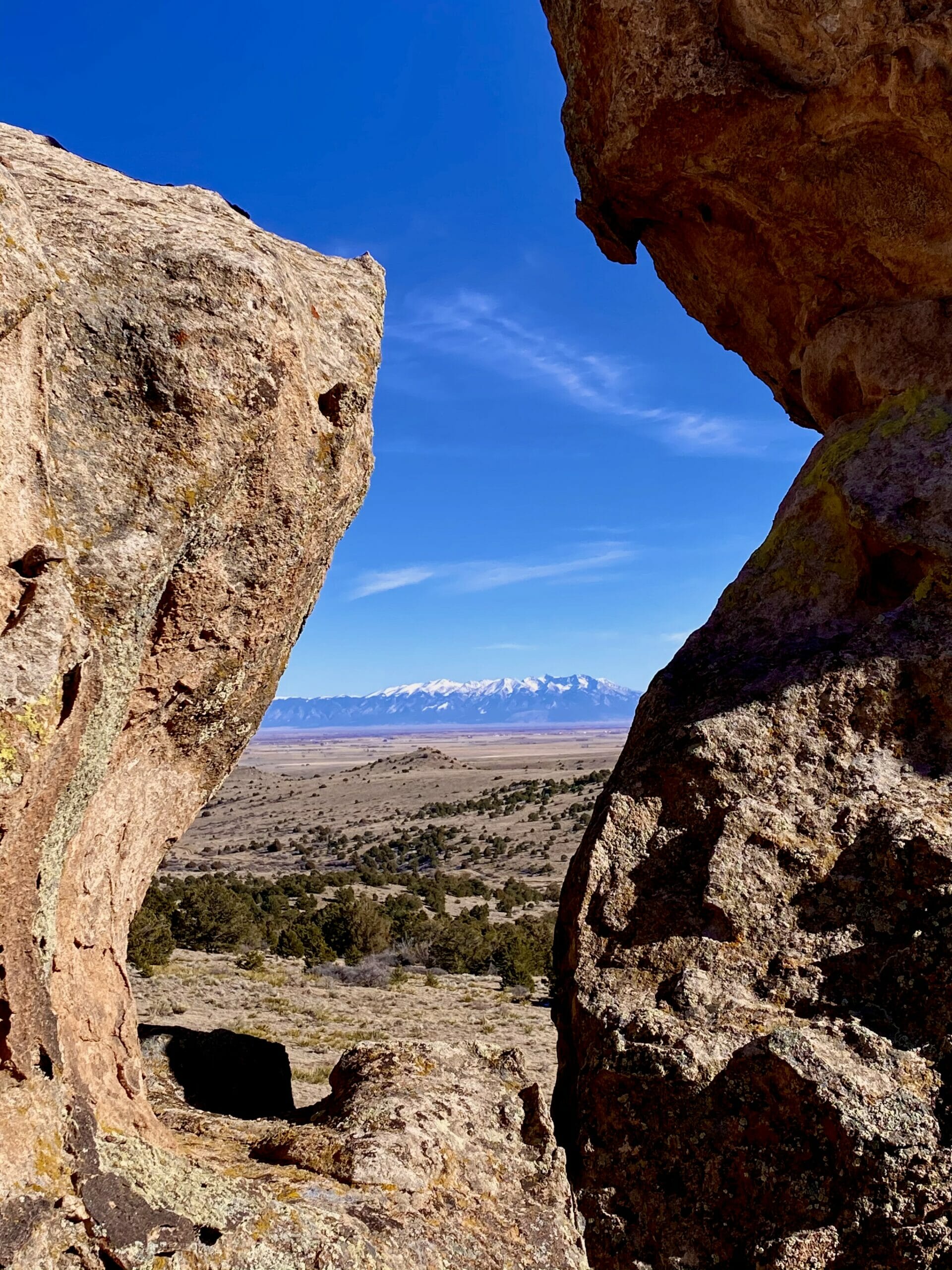 Aboriginal Rio Grande Cutthroat Trout Survive In The Upper Rio Grande ...