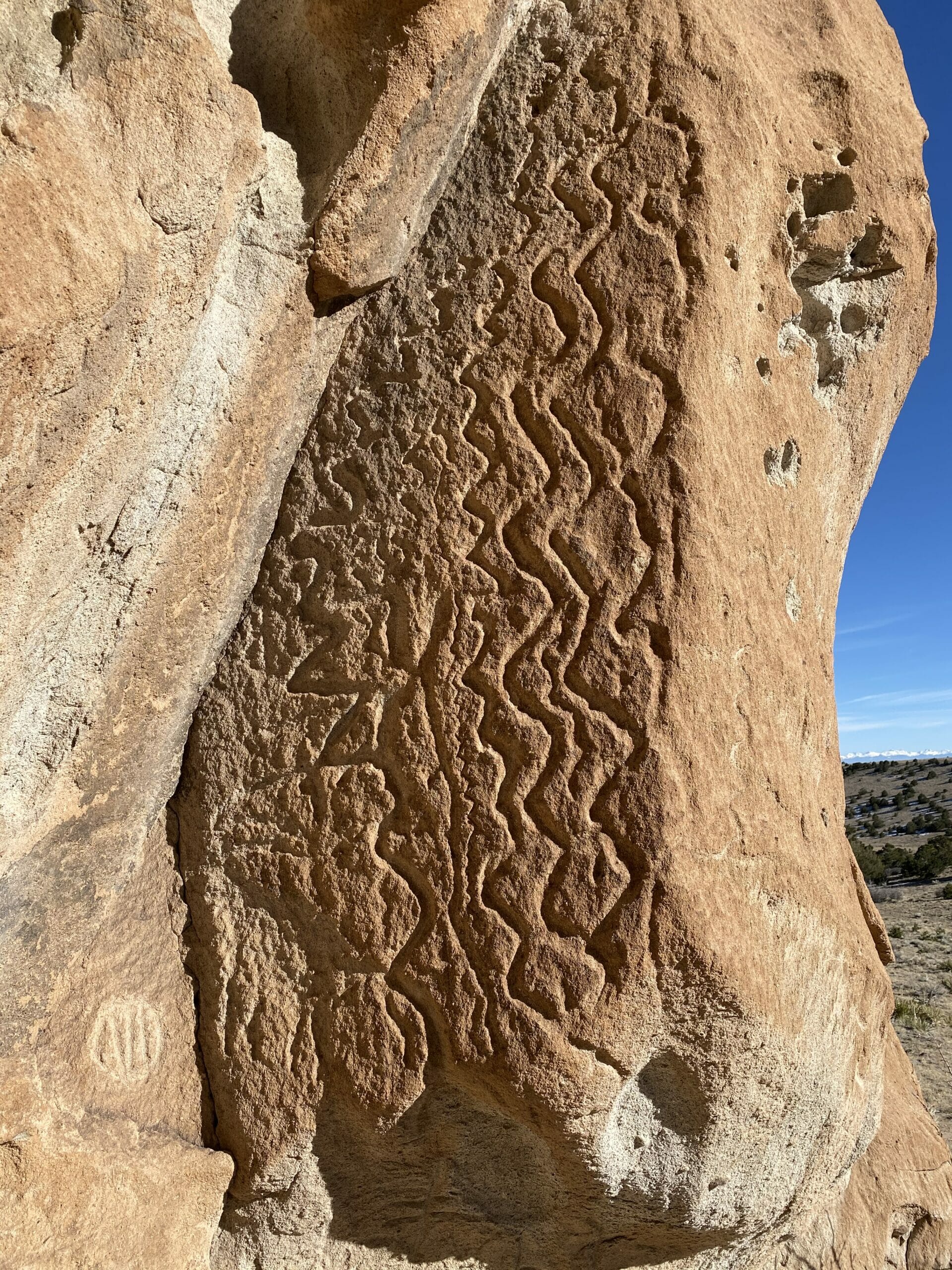 Aboriginal Rio Grande Cutthroat Trout Survive In The Upper Rio Grande ...