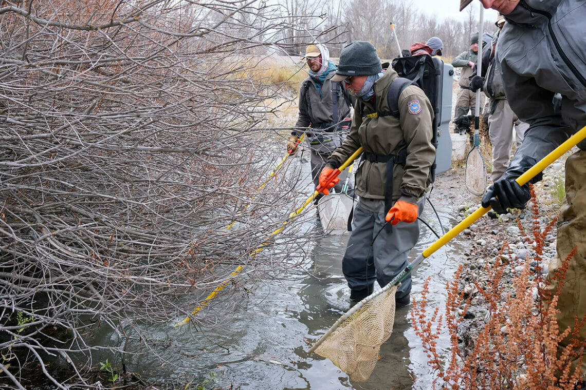 Answering The Call For Help On The Upper Snake - Trout Unlimited