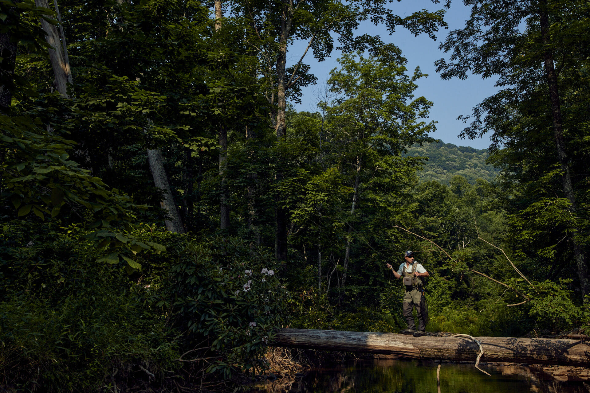 A Vision Of Trophy Wild Brook Trout In WV - Trout Unlimited