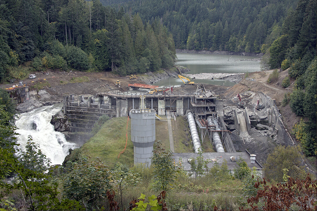 On The Elwha, Dams Came Down, Steelhead Came Back. - Trout Unlimited