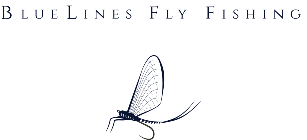 BlueLines Fly Fishing - Trout Unlimited