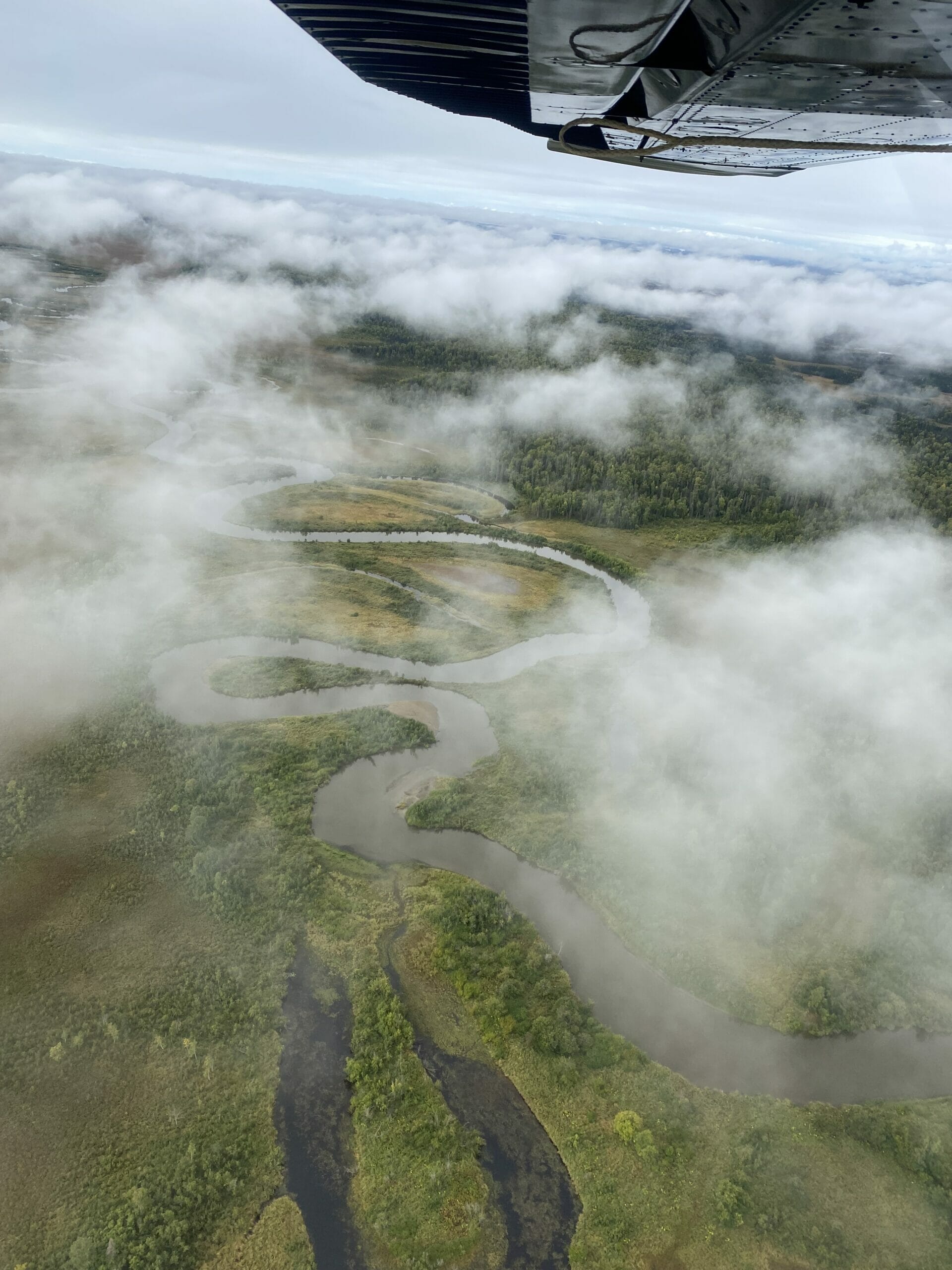 Sustaining The Susitna River In Alaska - Trout Unlimited