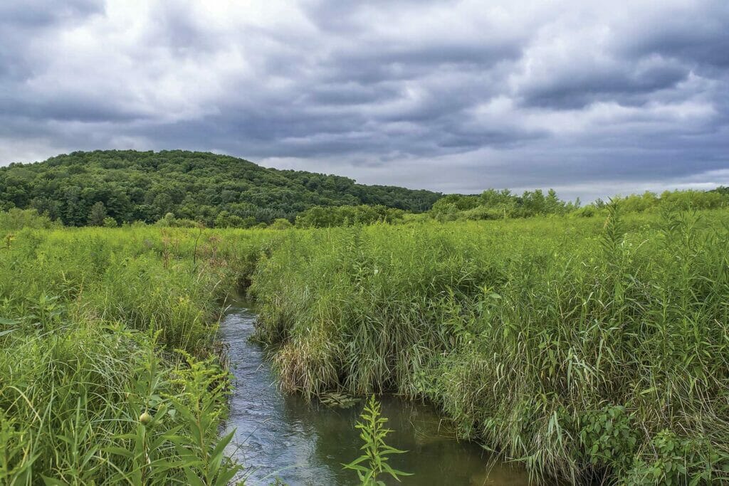 Comeback Crik - Trout Unlimited